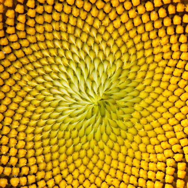 About Cargill | Cargill Indonesia