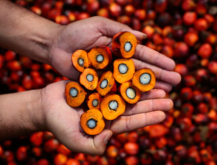 Cargill minyak sawit | Cargill Indonesia