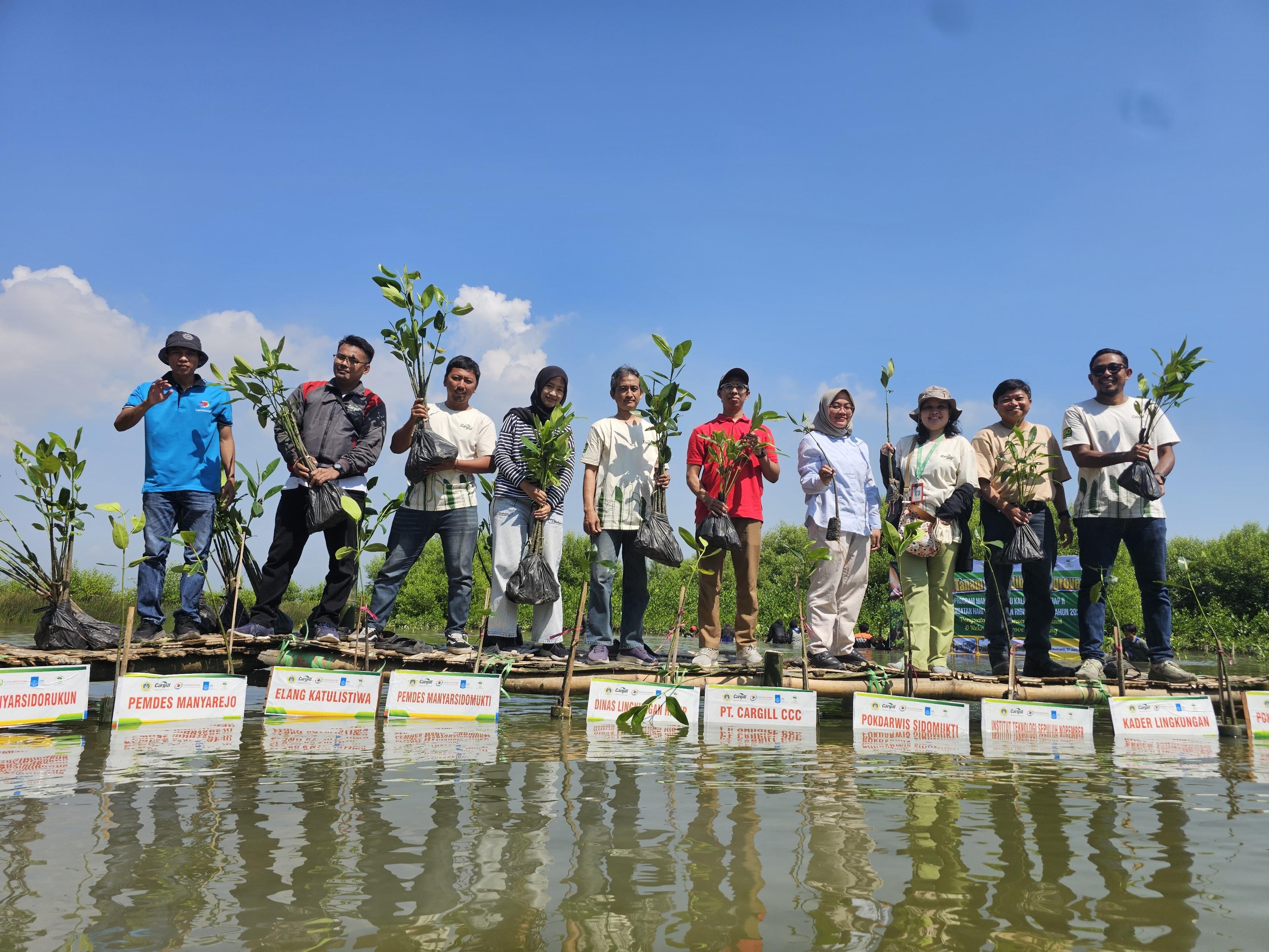 Penanaman Mangrove Cargill di Gresik | Cargill Indonesia